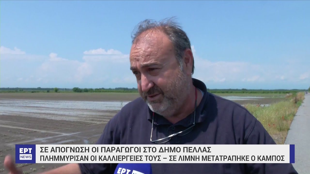 Τεράστιες ζημιές στις καλλιέργειες της Πέλλας | 31/05/2023 | ΕΡΤ - YouTube