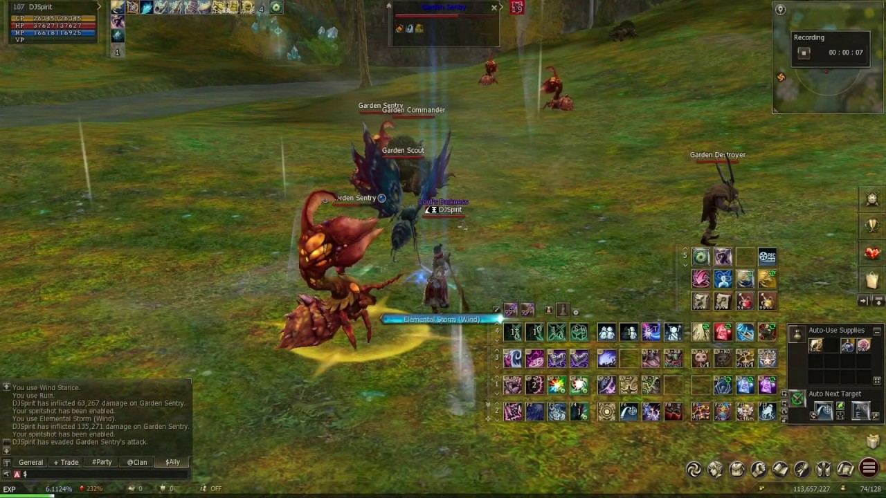 LINEAGE 2 : In Game Macroses - Feoh Storm Screamer - YouTube