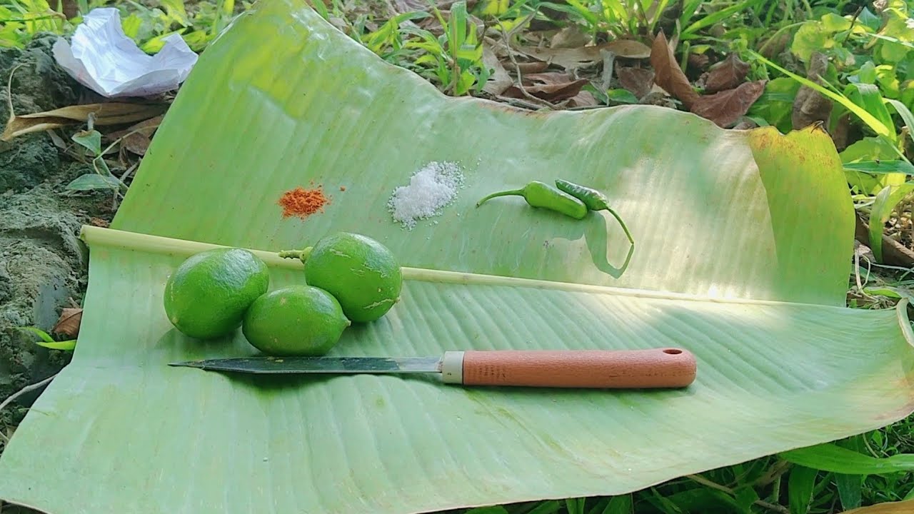 Limon mixing 😋|| My first food video ||@Village cooking channel@Village ...