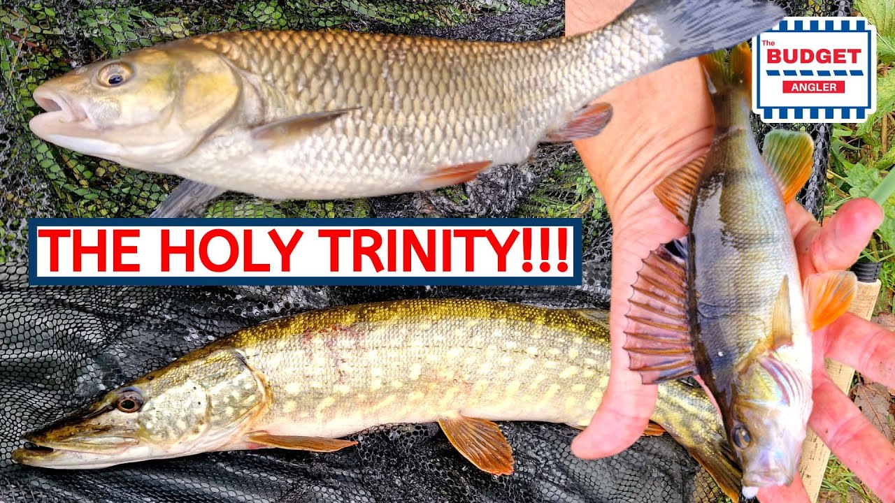 Light Lure Fishing on an English Stream - Pike, Perch and Chub! - YouTube