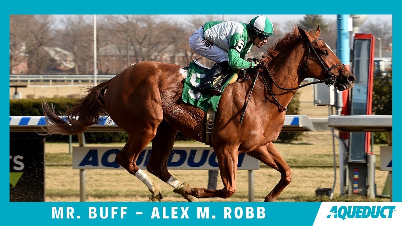 Mr. Buff - 2019 - The Alex M. Robb - YouTube