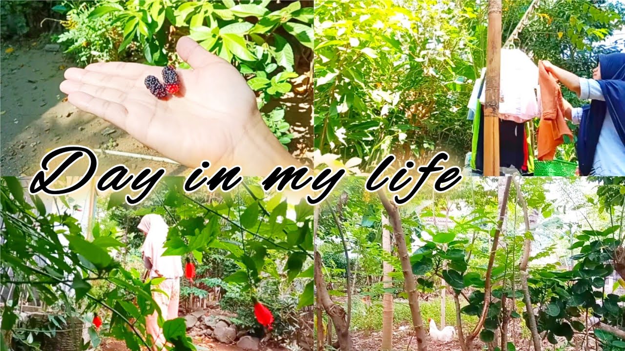 Day in my life || cleaning motivation - YouTube