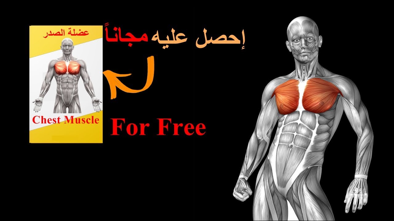 Chest Workout Book With chest-workout-book-with