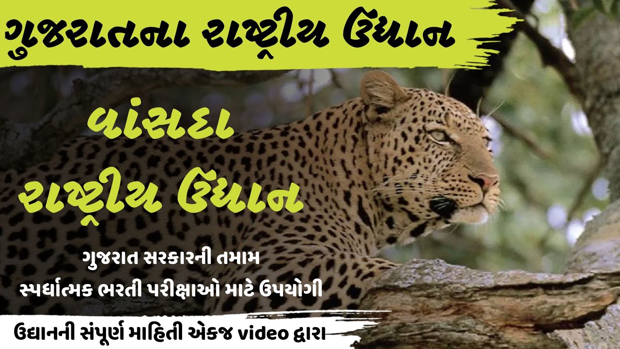 Vansda National Park in Gujarati | Gujarat National Parks - YouTube