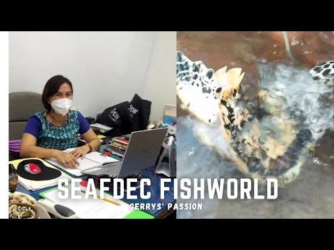 SEAFDEC FISHWORLD I TIGBAUAN ILOILO PHILIPPINES - YouTube