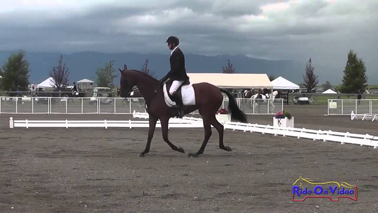 433D Stuart Black on Severe Flying SR Novice Dressage The Event at ...