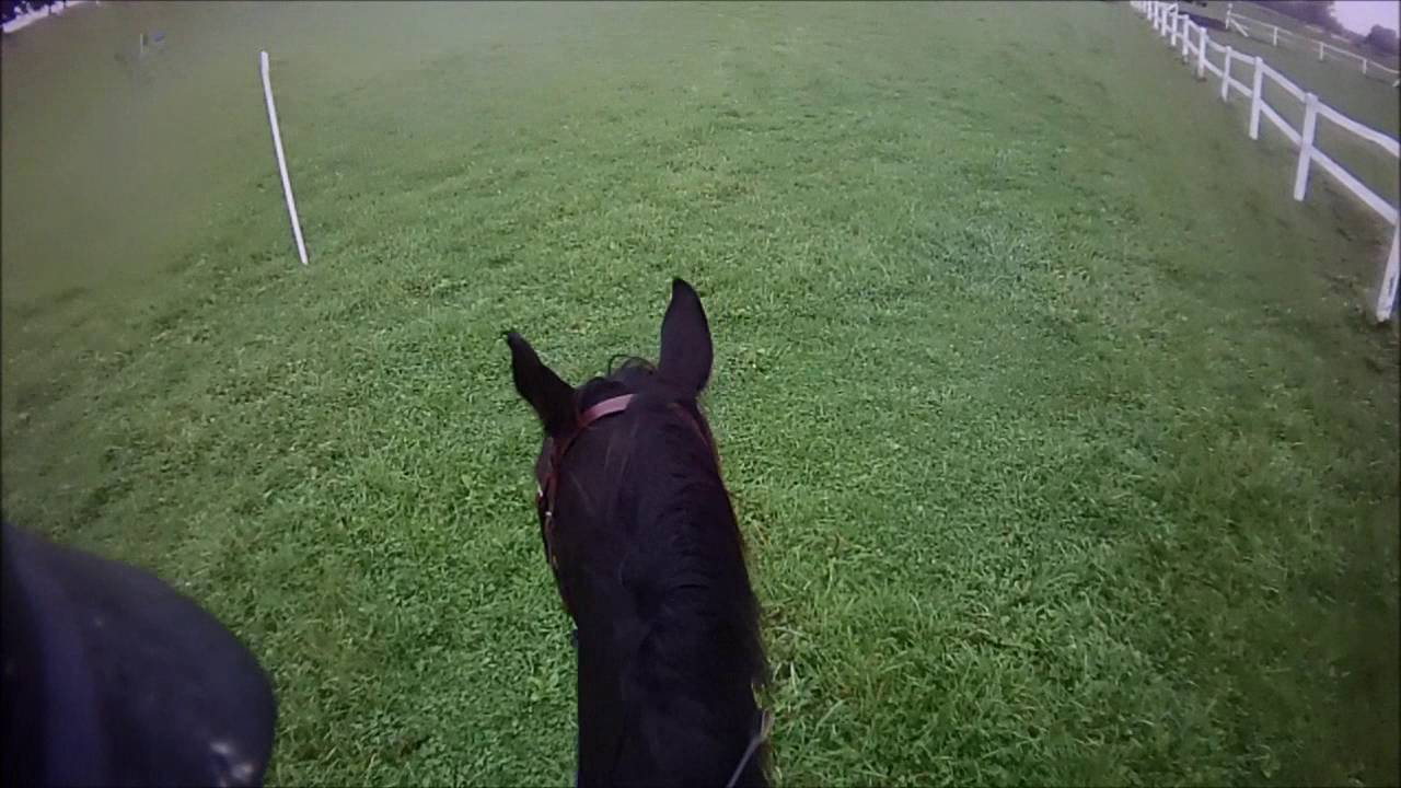 Highland Green Stable - Fall 2016 Event (Training Level) - YouTube