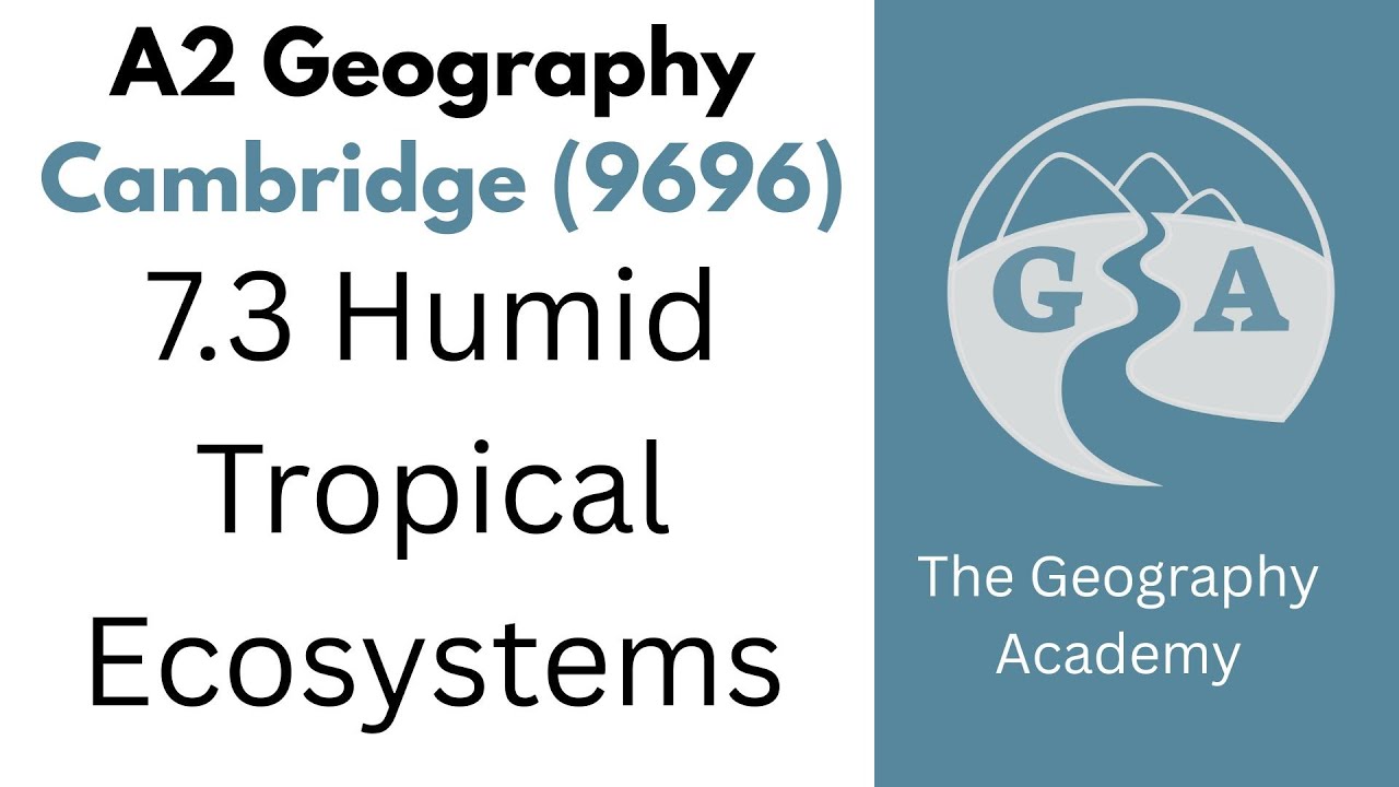 7.3 Humid Tropical Ecosystems - A2 Geography Cambridge 9696 - YouTube