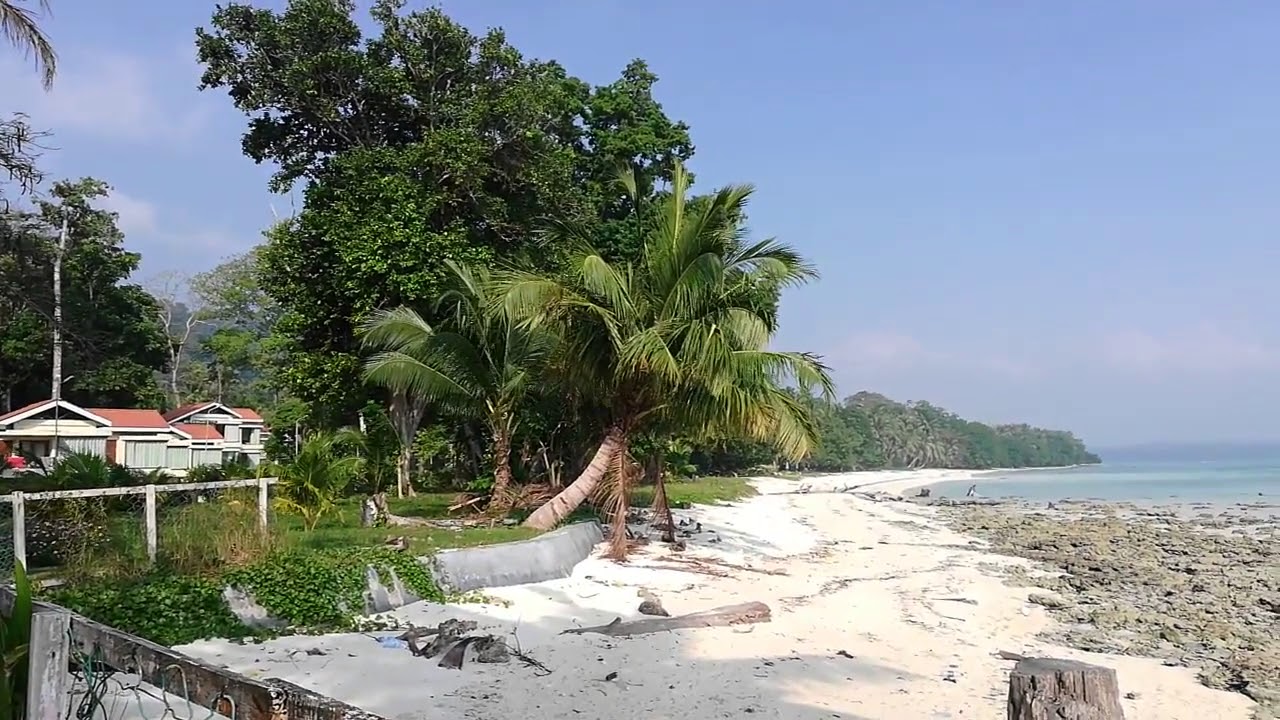 Dolphin resort Havelock Island Andaman. February 2018. - YouTube