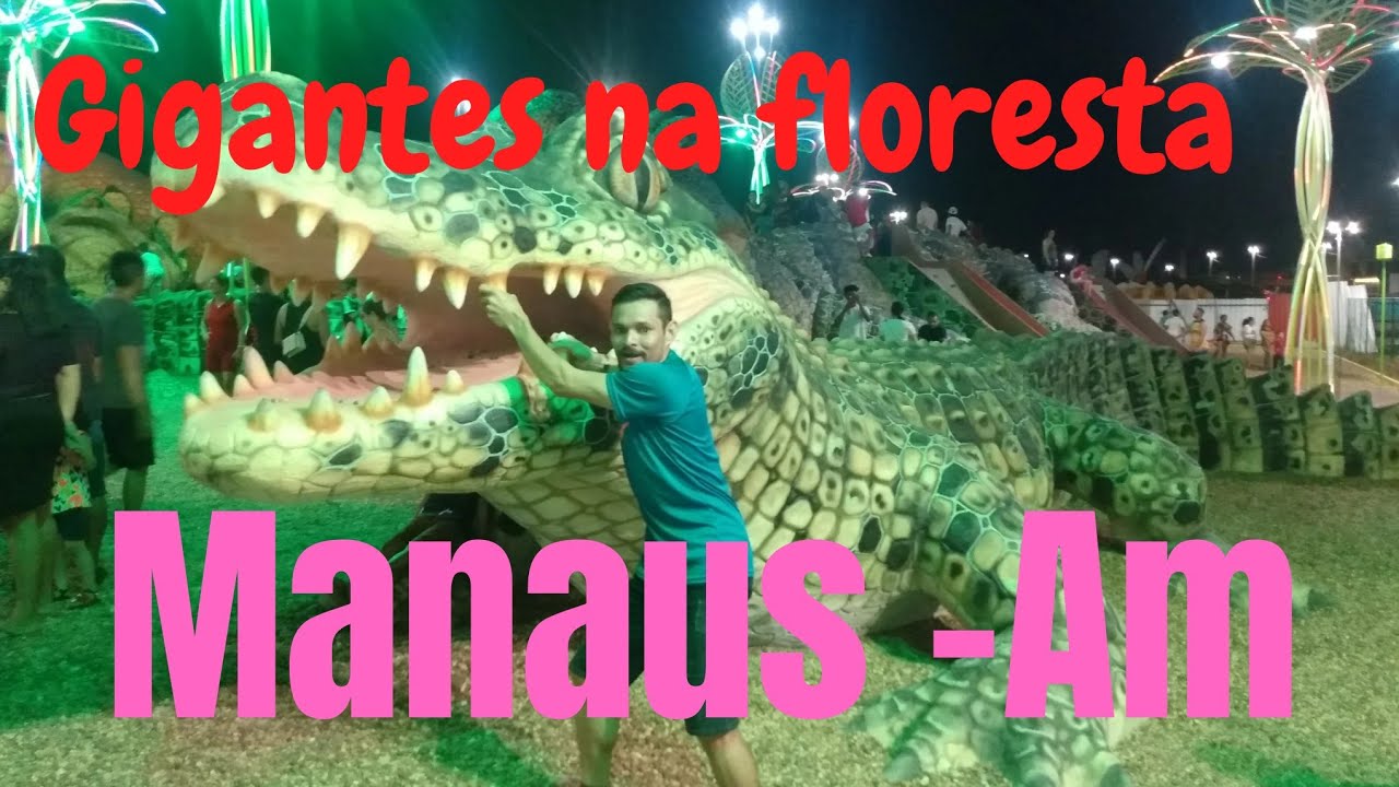 Parque gigante da floresta - YouTube