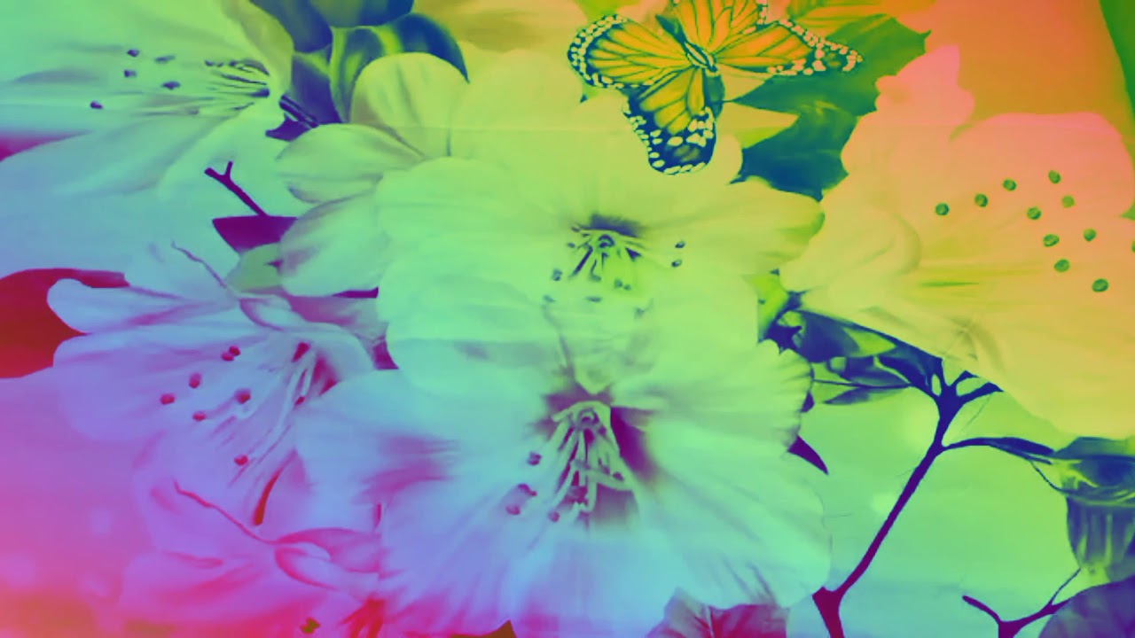 RELAXING COLOR FOR THE EYE - YouTube