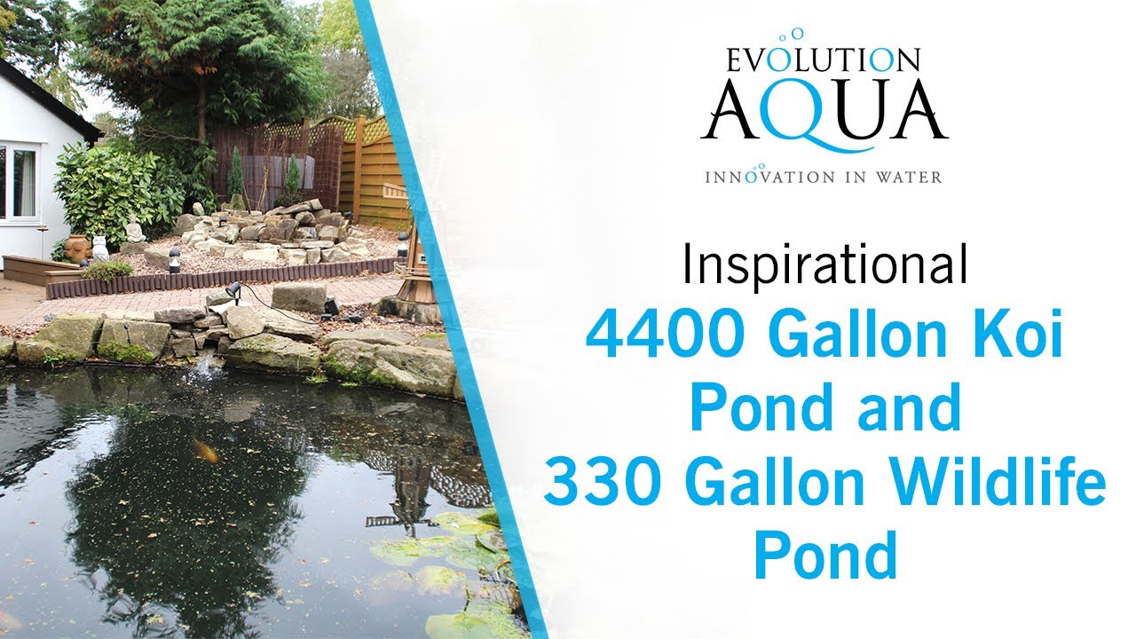 Evolution Aqua Nexus 320+ Automatic... 4400 Gallon Koi pond and 330 ...