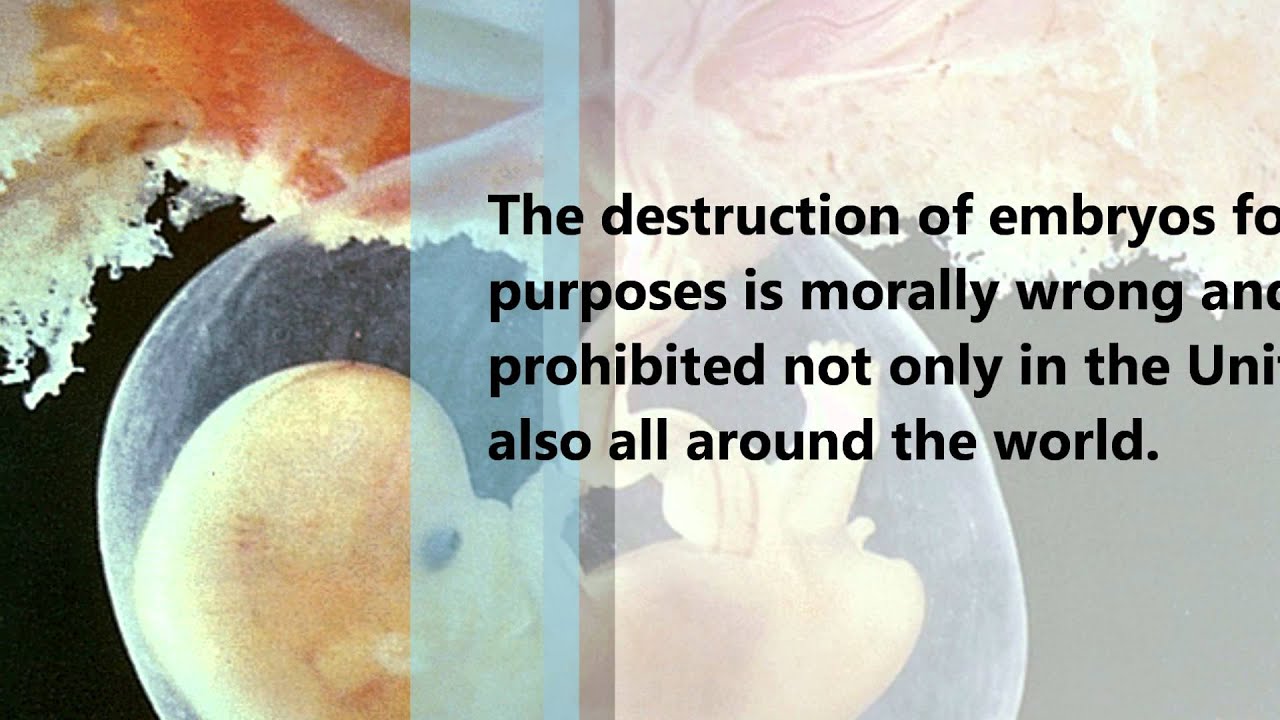 Embryonic Stem Cell Research PSA - YouTube