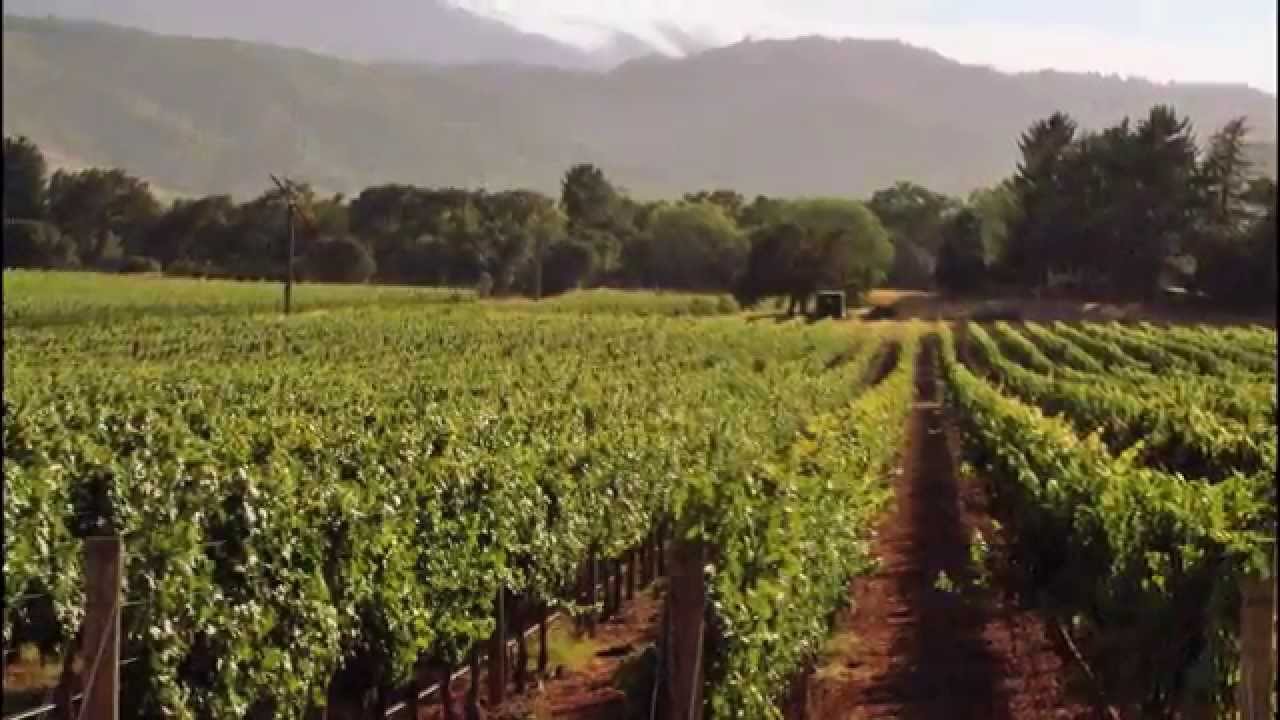 Napa Valley Life - YouTube