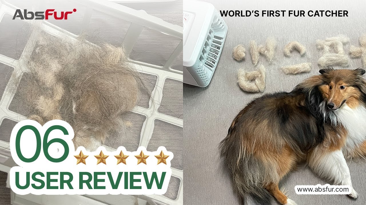 [ 06 User Review ] AbsFur - World's First Fur Catcher - YouTube