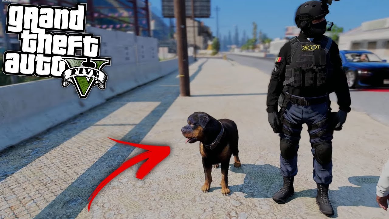 M-AM FACUT CAINE POLITIST :)) - YouTube