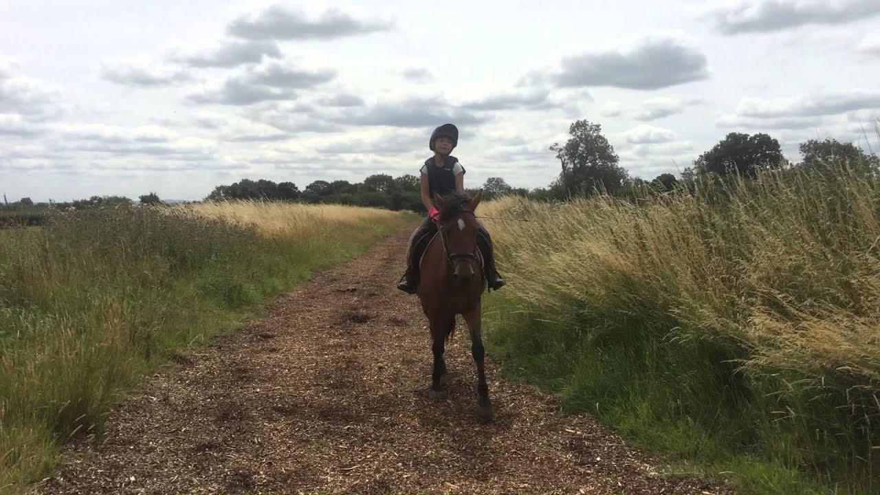 Tansey on canter track with 10 year old rider - YouTube