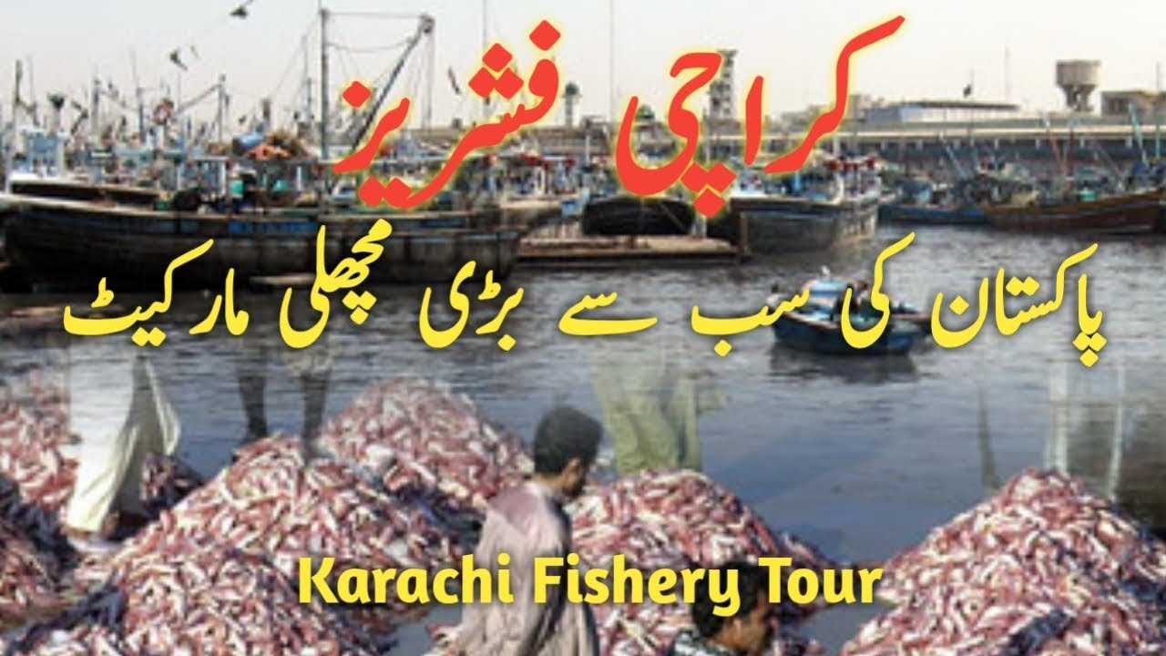 Karachi Fishery tour - YouTube