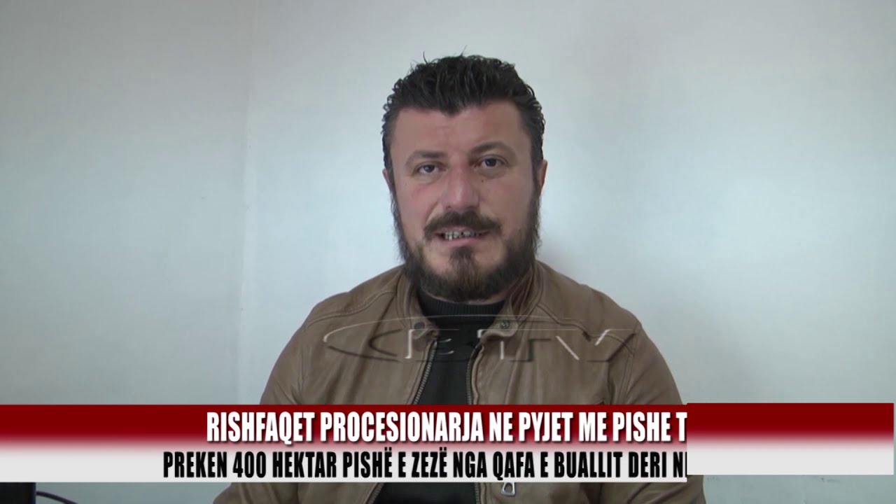 Pishat/ Rishfaqet procesionarja Preken 400 hektar pyje me pishe te zeze ...