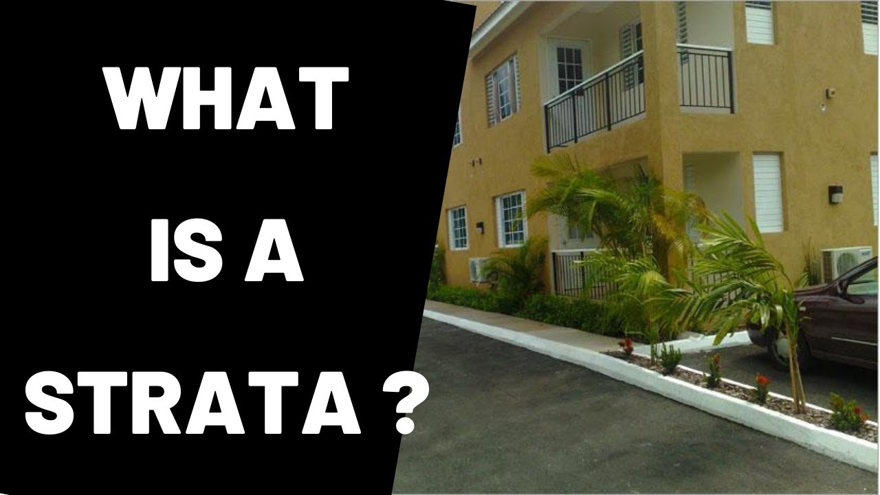 Home ownership in Jamaica | Understanding STRATA | TVJ Smile Jamaica ...