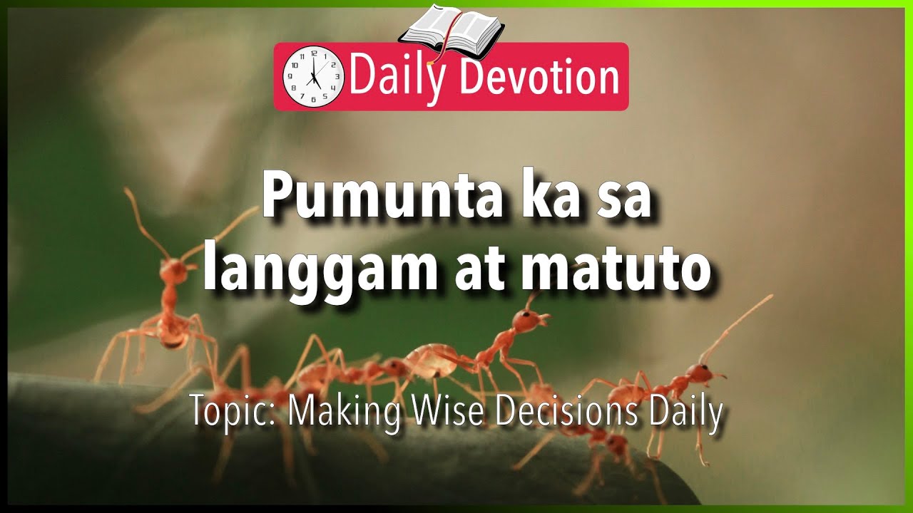 October 03: Proverbs 6:6-8 - Learn From The Ants - 365 Bible Verses ...