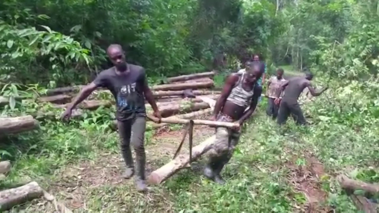 Liberia Plantation: Blue Rock Internationals - YouTube