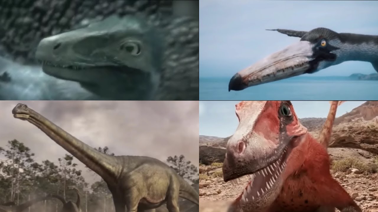 Estranhos Dinossauros Predadores - Troodonte | Diplodoco | Pelagornis ...