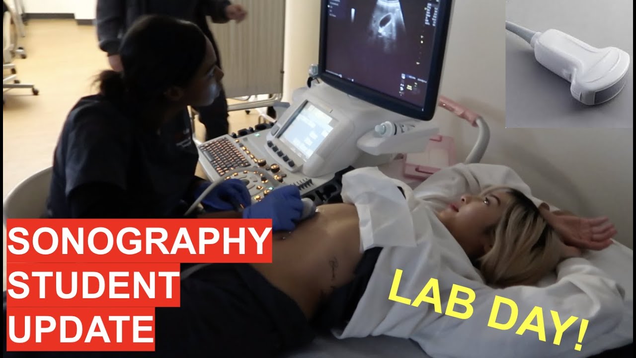 A DAY IN THE LIFE: DIAGNOSTIC MEDICAL SONOGRAPHY STUDENT UPDATE!! - YouTube