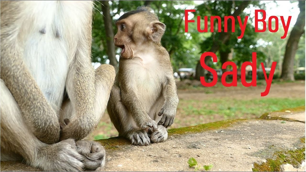 Most Of Time Baby Sady Keep Activity and Make A Super Fun With Team ...