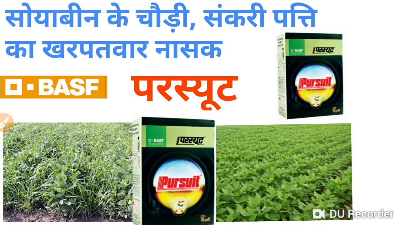 BASF Pursuit || Imazethapyr 10% SL || सोयाबीन खरपतवारनासक || परस्यूट ...