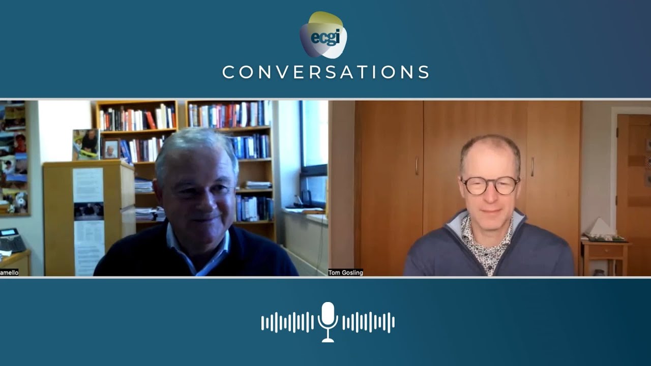 ECGI Conversation - Antonio Mello - YouTube