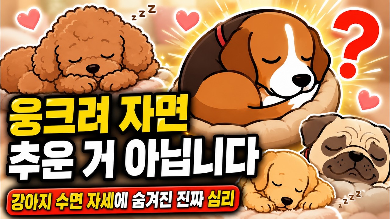 "웅크려 자면 추운 거 아닙니다" 강아지 수면 자세에 숨겨진 진짜 심리 - YouTube