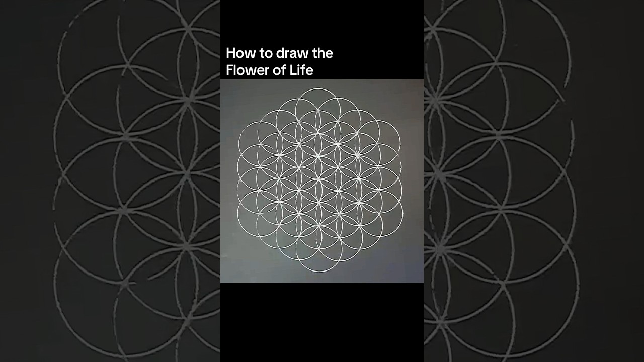How to draw the Flower of Life - YouTube