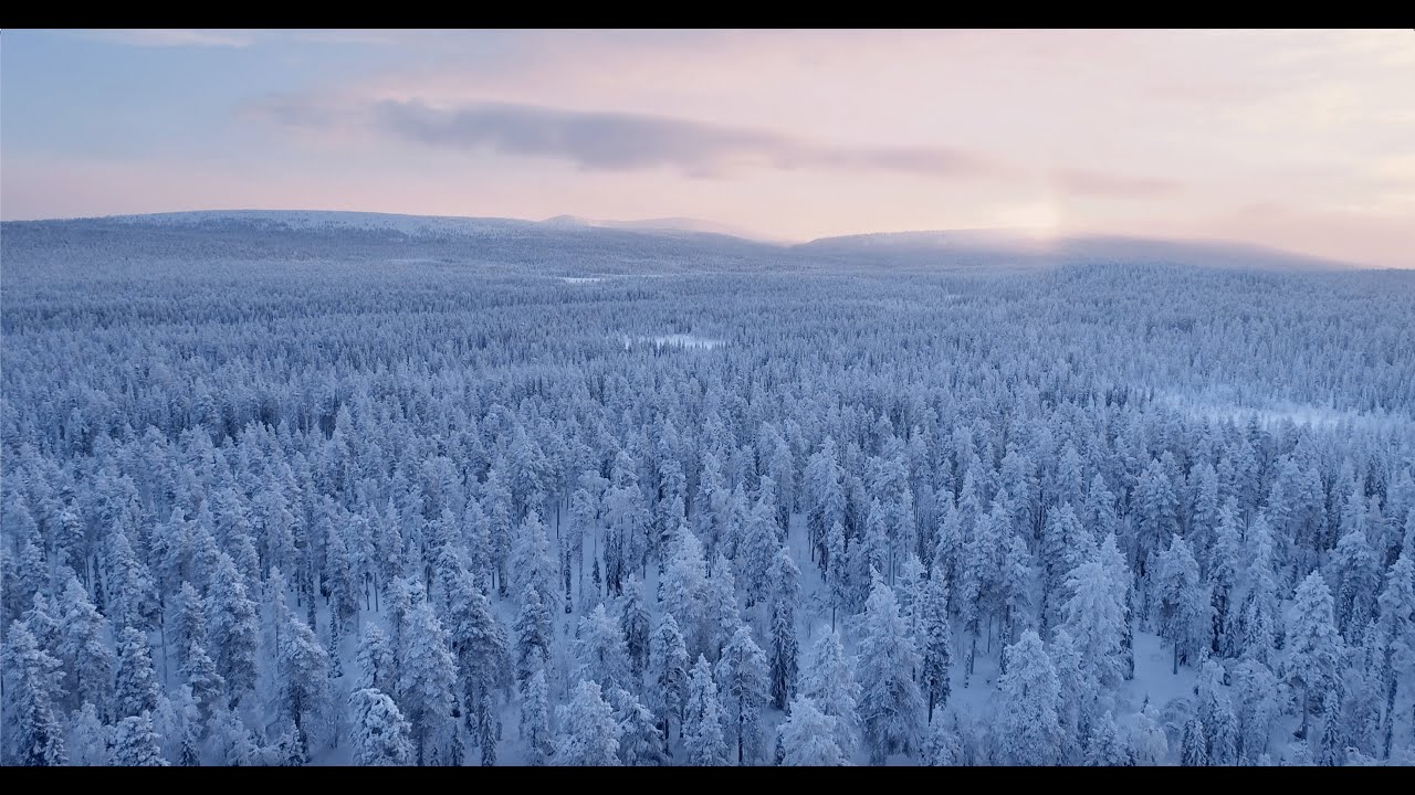 25 Minute Pomodoro Study-Snow Covered Forest in Finland - YouTube