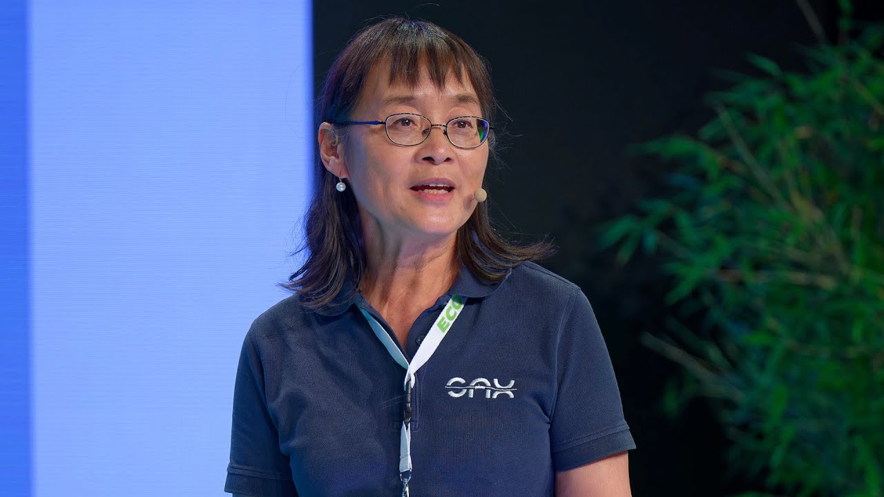 Lei Shen pitches SAX Power - YouTube