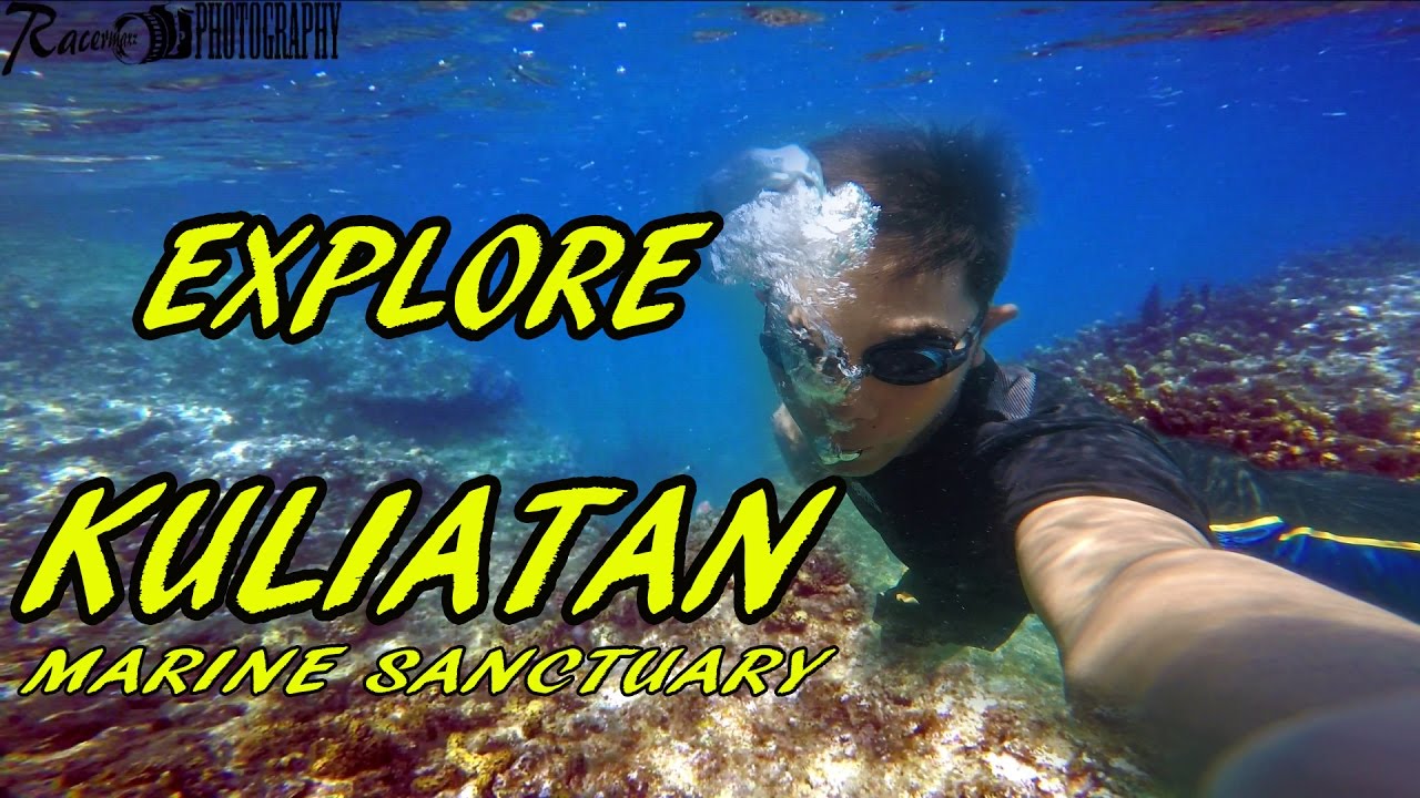 Garden in the Sea | Kulyatan Marine Sanctuary - YouTube