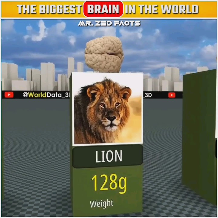 इस_दुनियां_में_सबसे_बड़ा_दिमाग_किसका_है🤔🤔World's_Biggest_Brain #amazingfacts #ytshorts #ncs # ...