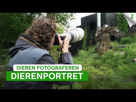 Dieren portretteren in de dierentuin! | Dieren fotograferen | Zoom.nl | #2