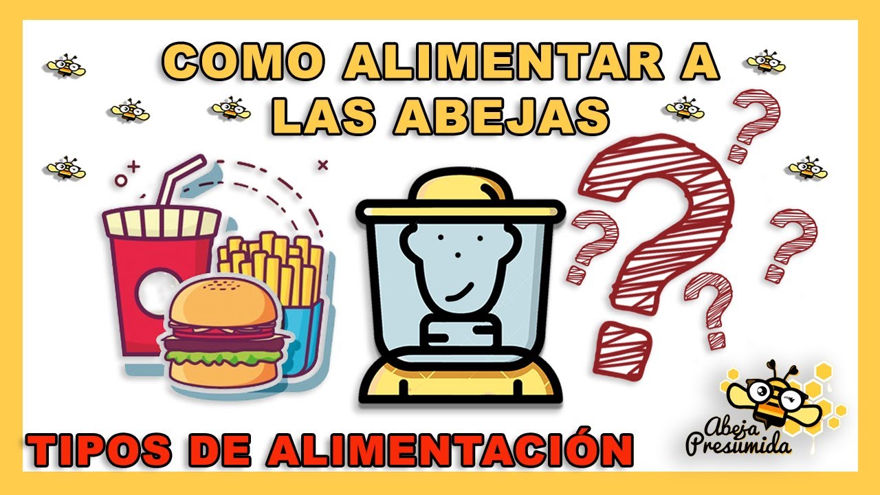 ALIMENTO para ABEJAS 🐝🧡🎥Tipos de Alimentación en Apicultura - YouTube