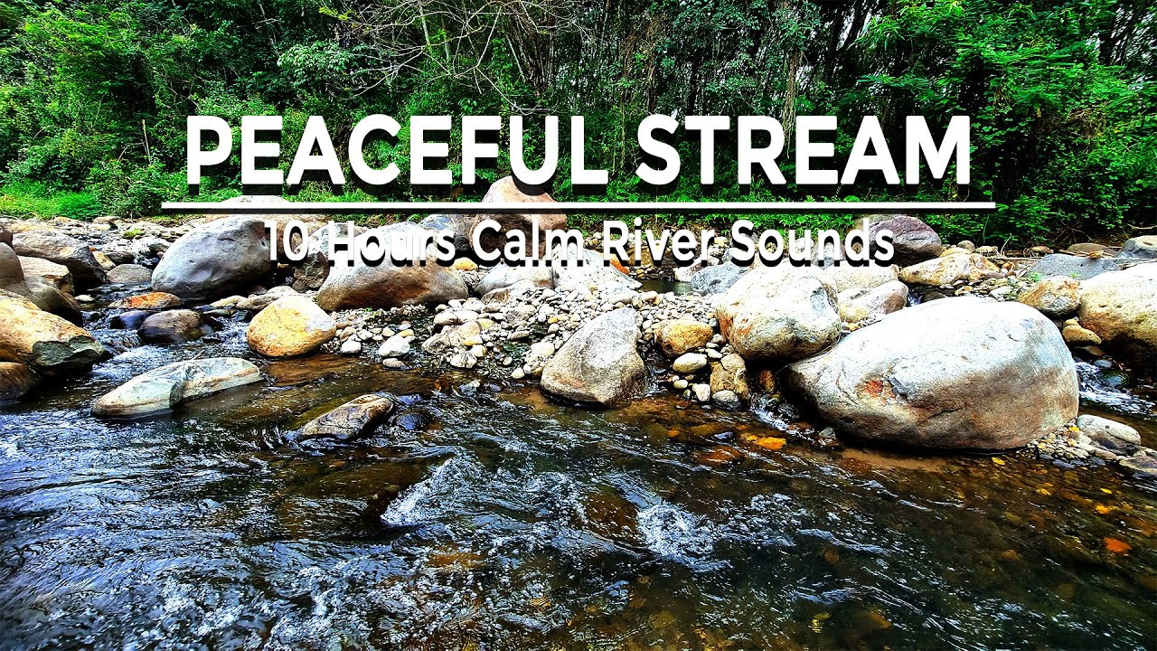 A paradise of rivers, Immersed in the wondrous flow of nature, Zen ...