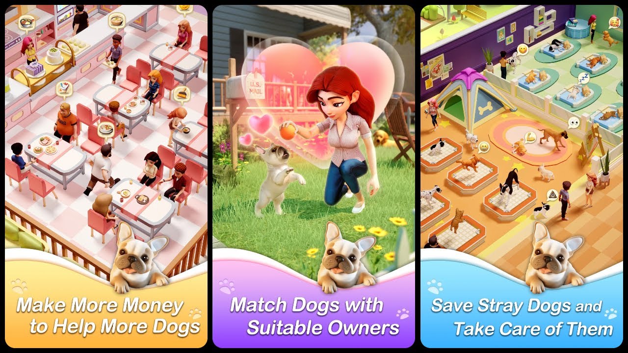 Dog Shelter Game Android Gameplay - YouTube