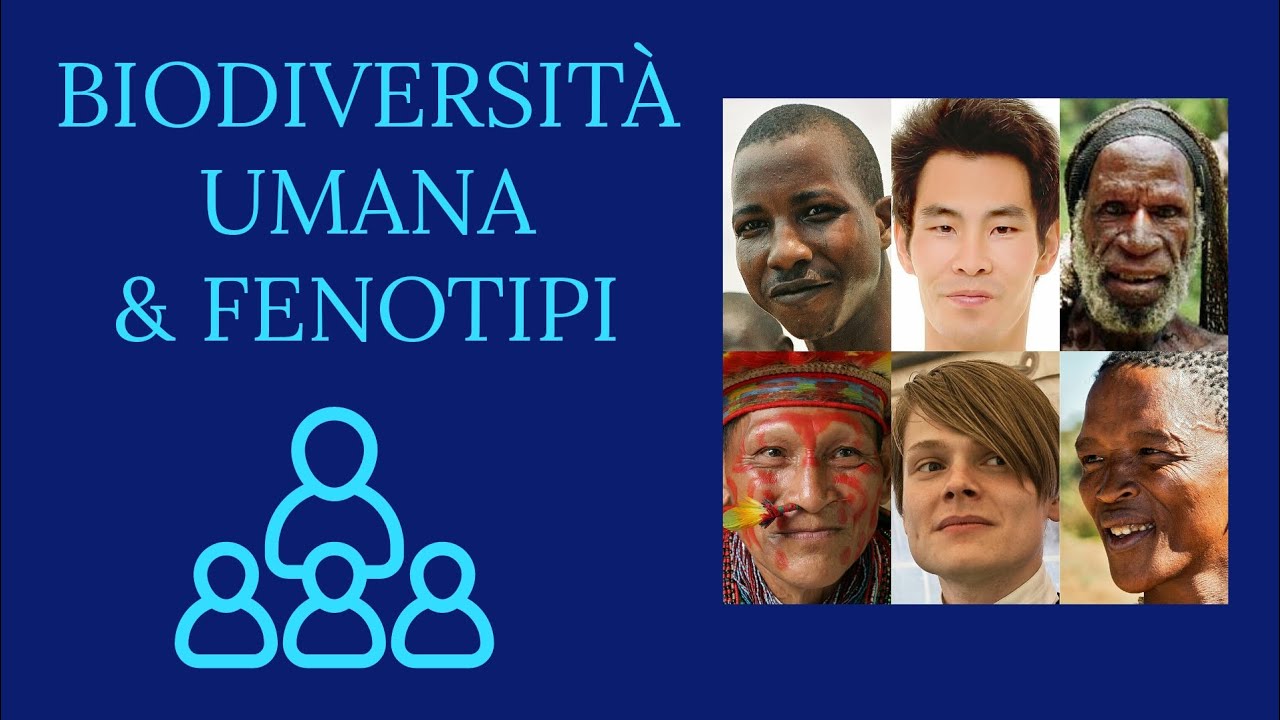 fenotipo capoide: caratteristiche craniche, facciali e fisiche - YouTube