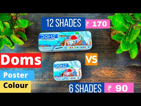 Doms poster colour | doms poster colour 12 shades VS doms poster colour ...