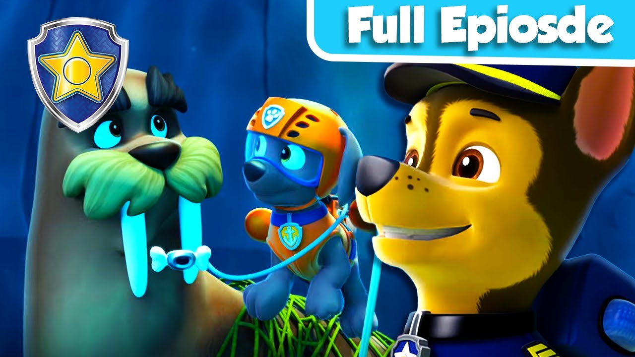 Pups Save A Walrus 🦭🌊 | FULL Episode | Chase Official Channel | PAW ...