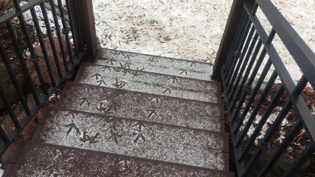 Chicken tracks! - YouTube