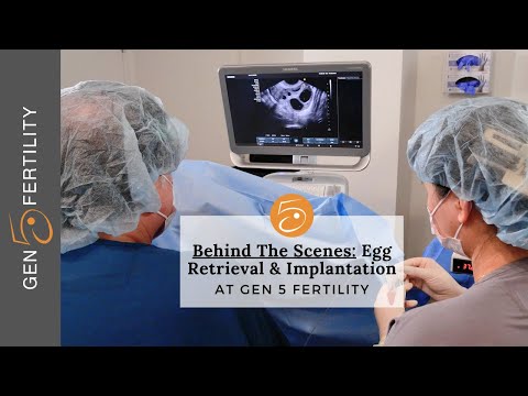 Egg Retrieval and Embryo Transfer | Behind The Scenes at Gen 5 Fertility