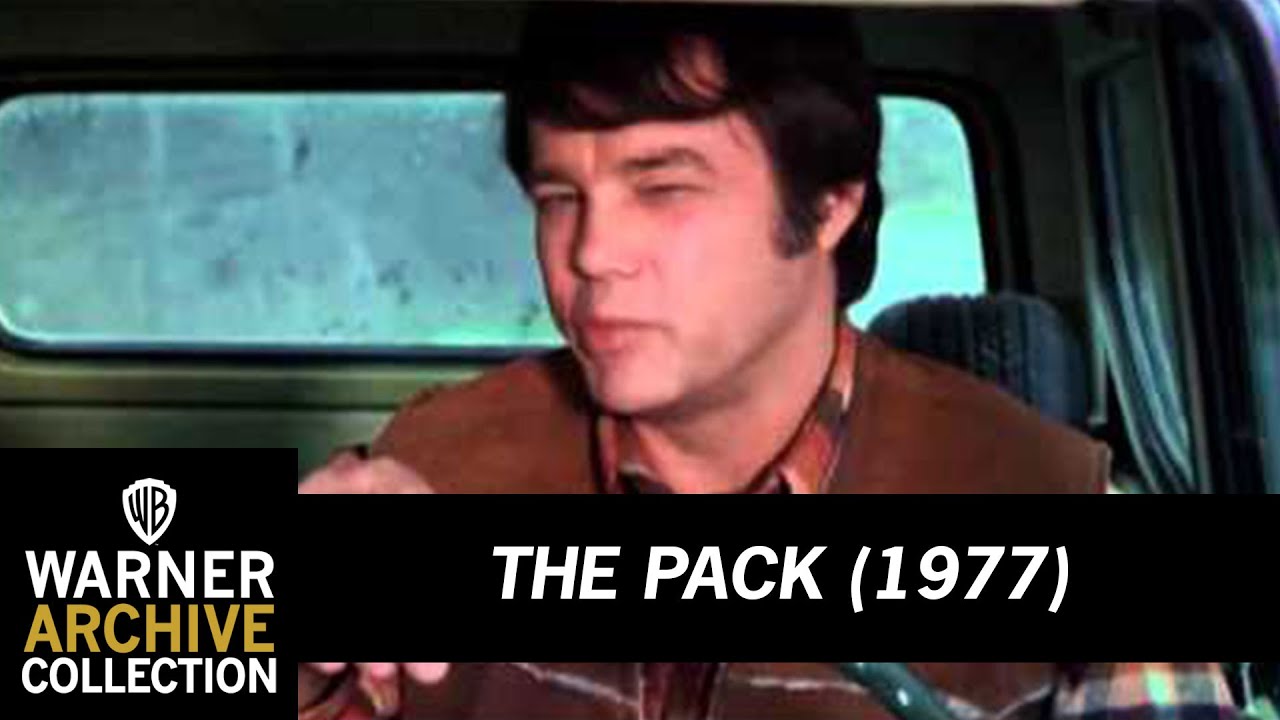 Preview Clip | The Pack | Warner Archive - YouTube