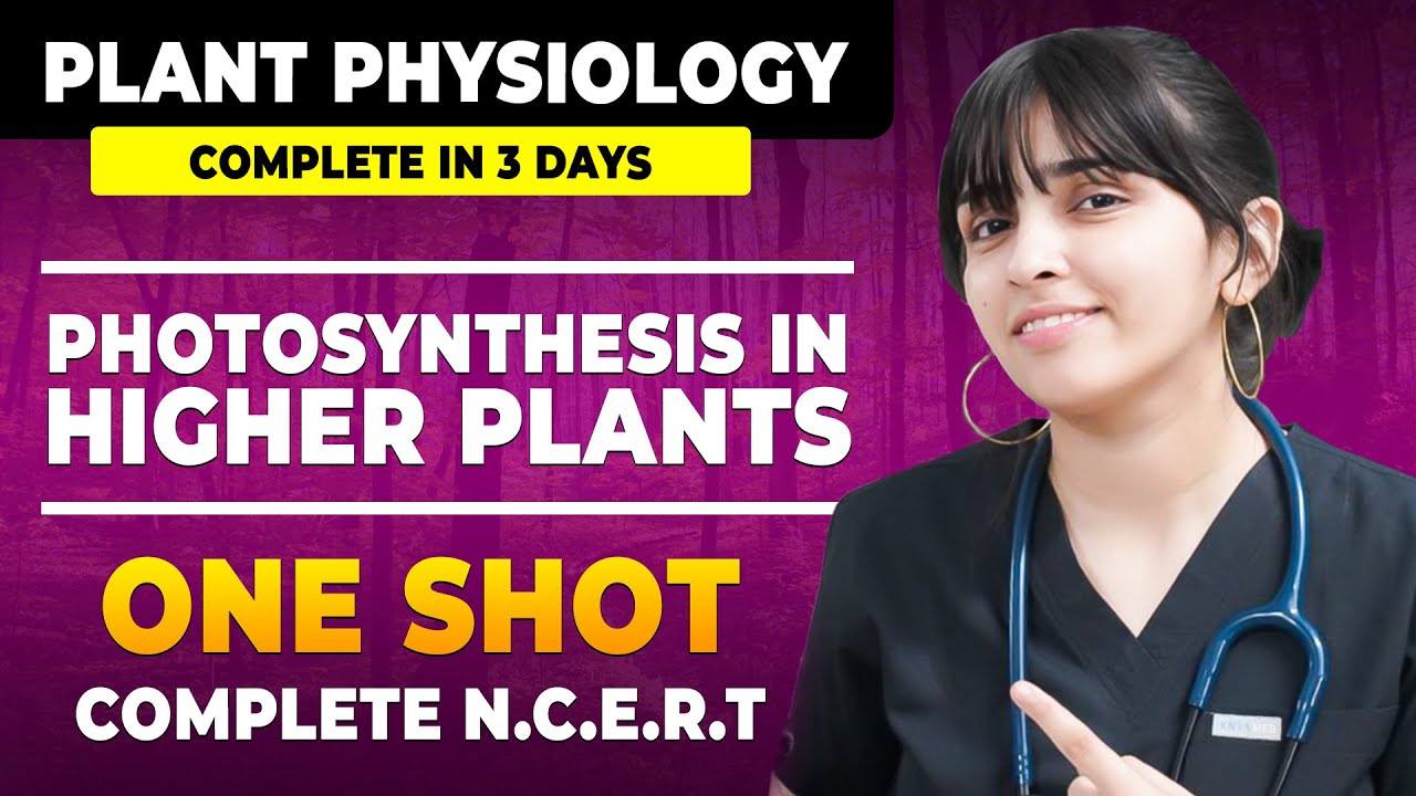 Photosynthesis in higher Plants in One Shot Class 11 NCERT | NEET 2024 ...