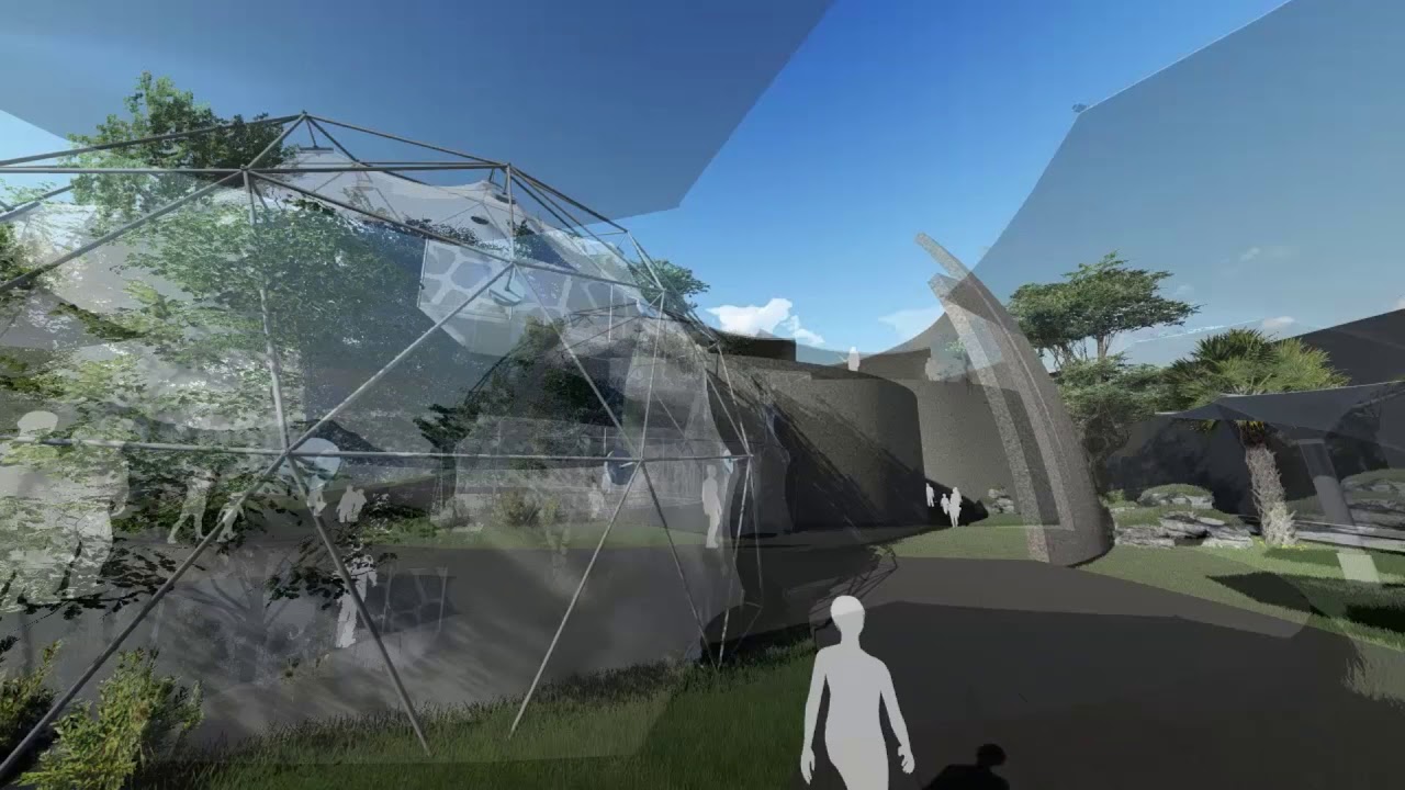 INSECT MUSEUM 6019103516 - YouTube