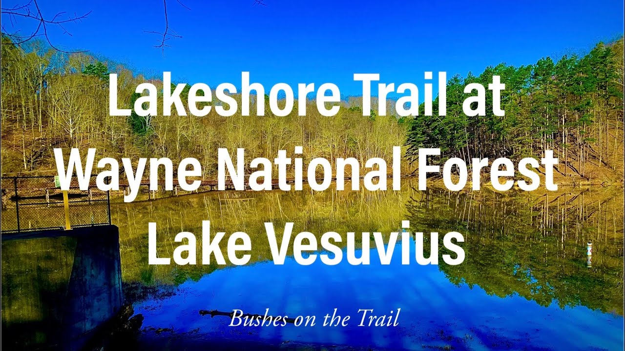 Wayne National Forest Lakeshore Trail at Lake Vesuvius in Ohio - YouTube